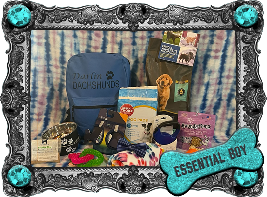 Essential Puppy Package for Male Pups – darlin dachshunds