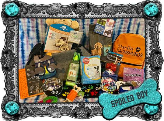 Totally Spoiled Puppy Package – darlin dachshunds